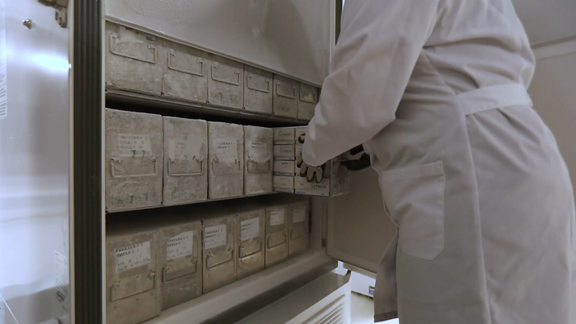 About Us - CRYOGENE Lab